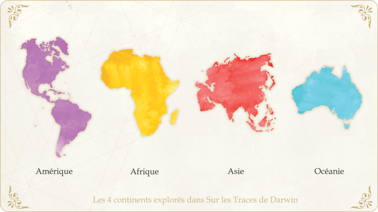 Les Animaux des 4 continents - Sorry We Are French