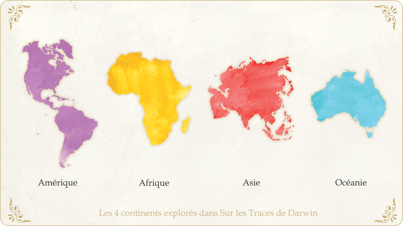 Les Animaux des 4 continents - Sorry We Are French